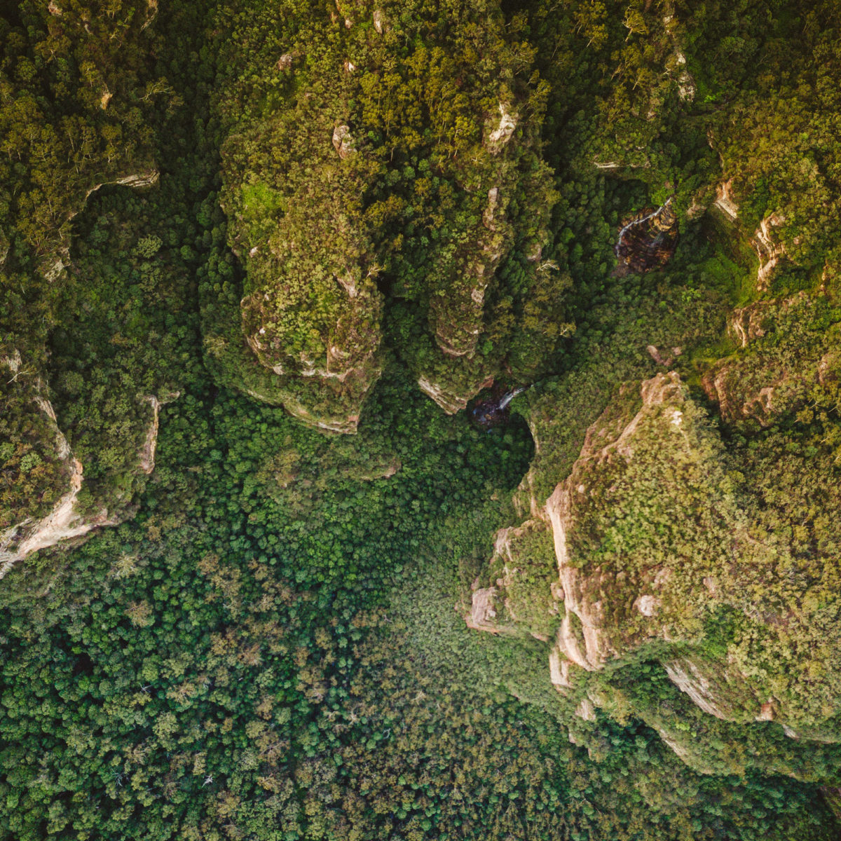 Home - Nu-Rock Global